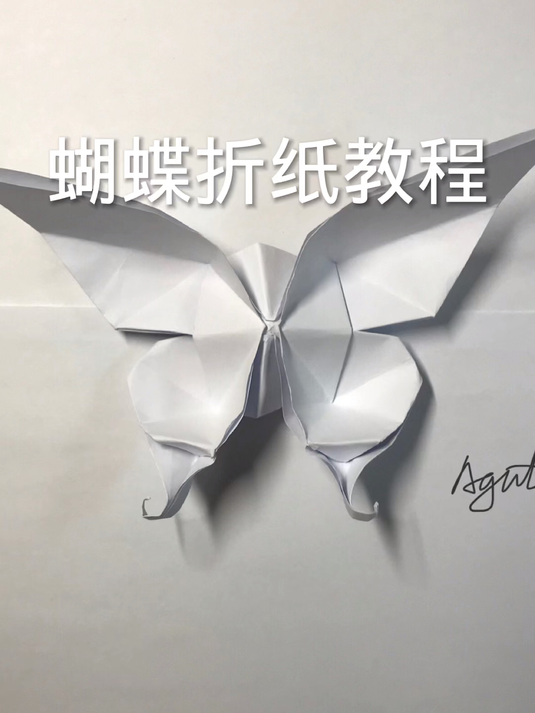 蝴蝶折纸教程 度小视