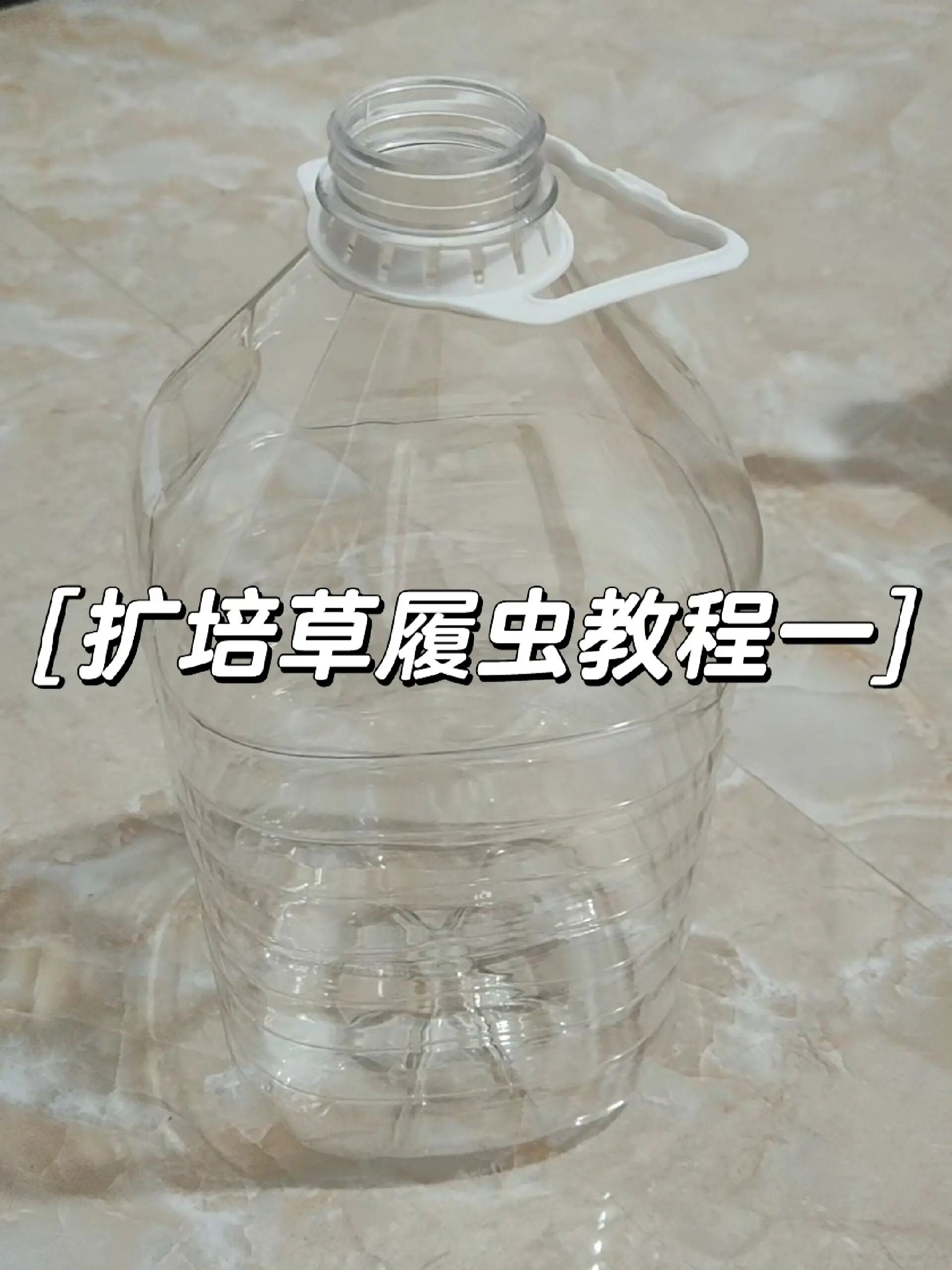 扩培草履虫教程一 度小视