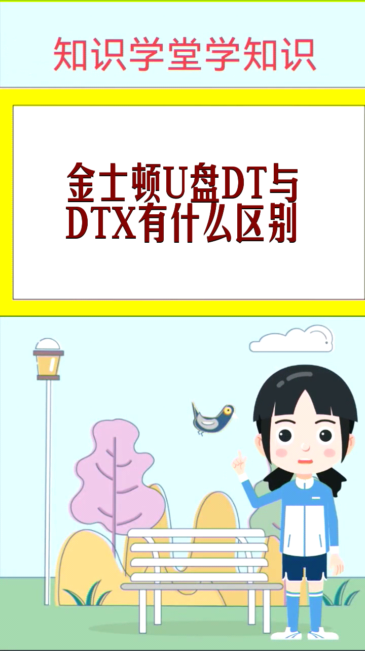 金士顿U盘DT与DTX有什么区别-度小视