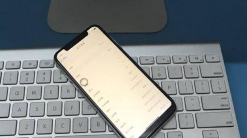 造神机的“华强北”：骁龙835版iPhoneX，库克知道后“晕在厕所”,科技,数码,好看视频