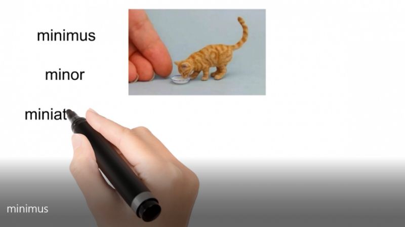 学英语词源知识之minimus最小的英语单词记忆英语学习方法,教育,兴趣学习,好看视频