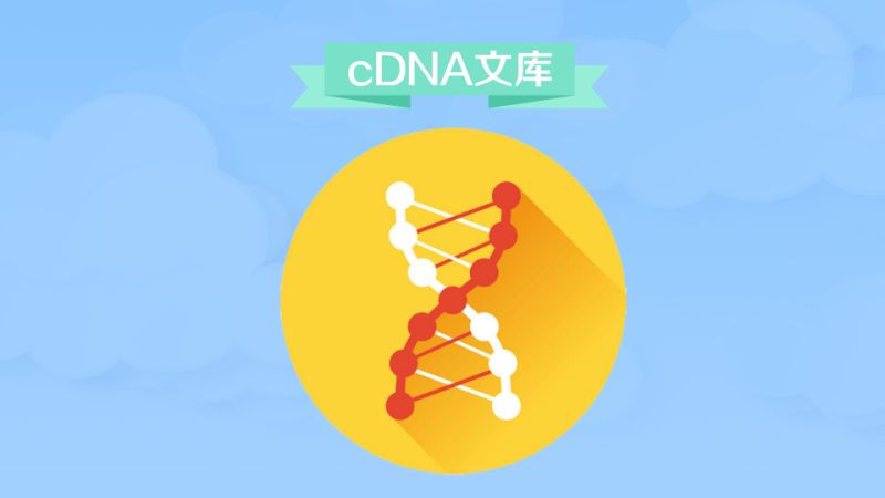 cDNA 文库：一群含重组DNA 的细菌或噬菌体克隆,科技,科普,好看视频