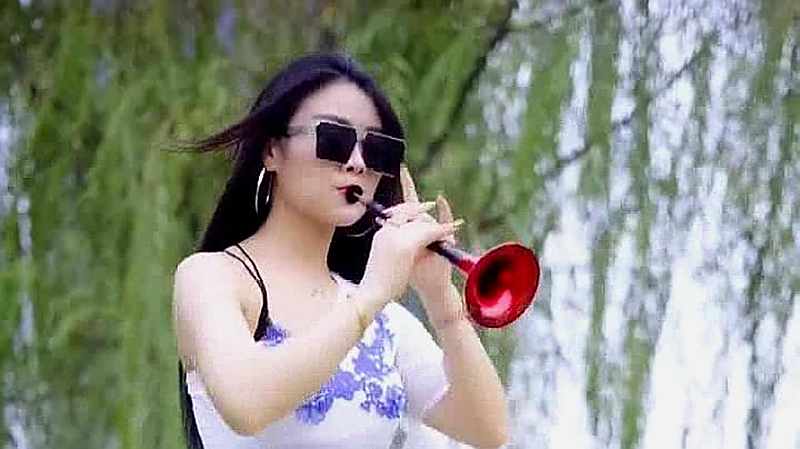 美女唢呐独奏《猪八戒背媳妇》，歌曲搞笑活泼，吹得太欢快！音乐器乐好看视频