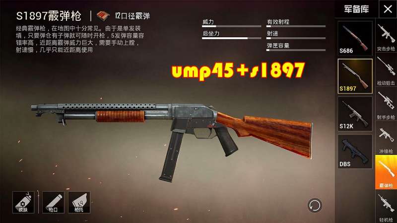 和平精英：UMP45+S1987啥样？玩家解锁神仙武器组合！,游戏,射击类,好看视频