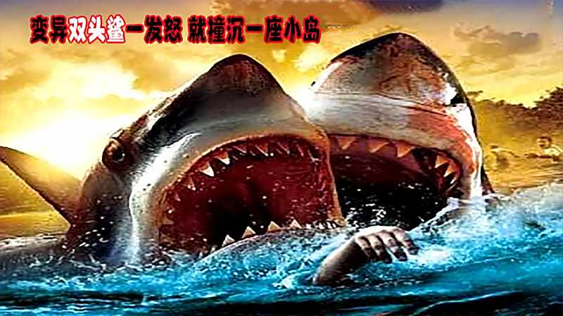 基因突变双头鲨,竟撞沉一座小岛,一部高能影片 影视 恐怖惊悚 好看视频