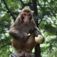 Cannot resolve symbol‘SpringBootApplication’错误