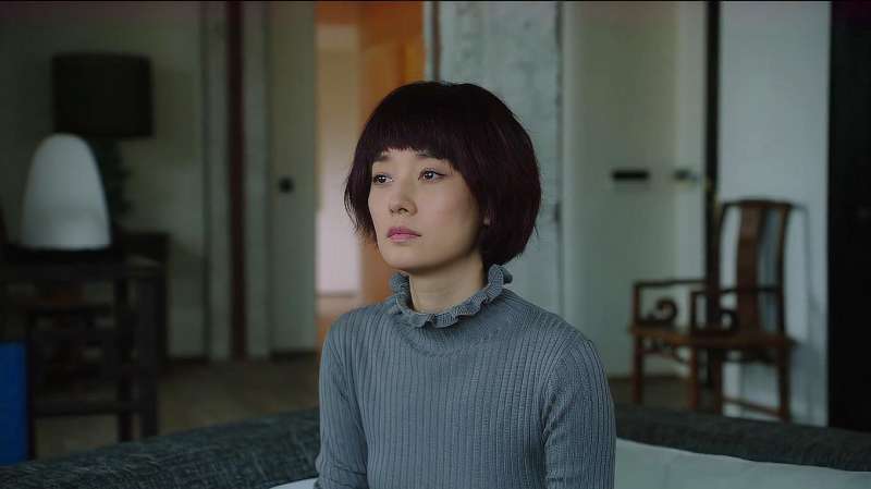 我的前半生第9集 公婆争夺抚养权，贺涵为俊生上司，子君服安眠药影视伦理片好看视频