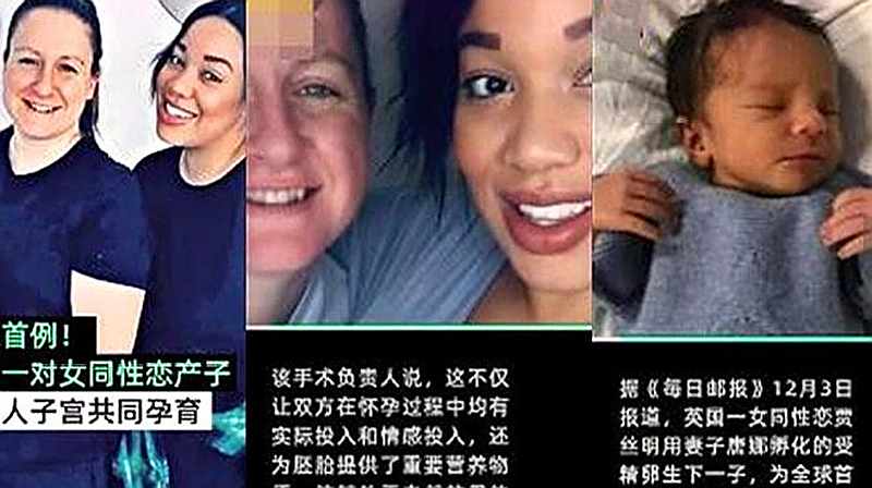 全球首例共享母亲 英国一对女同性恋共同孕育产子社会民生好看视频