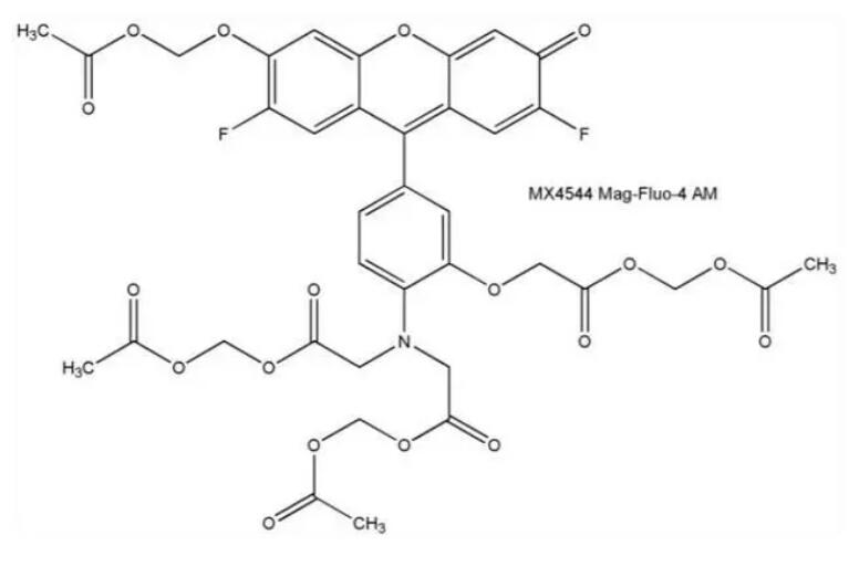 Mag-Fluo-4 AM可用于荧光标记，镁离子荧光探针