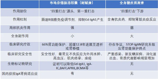 布地奈德缓释胶囊（Nefecon）在IgA肾病的应用
