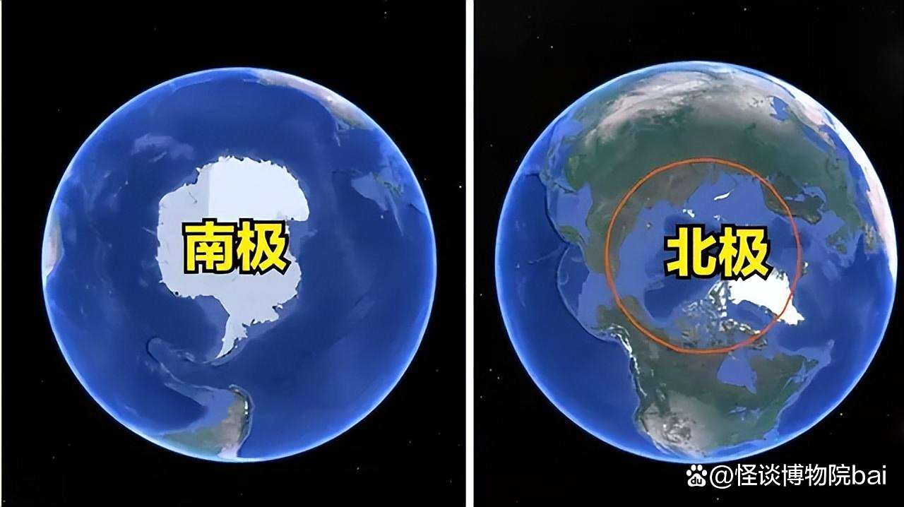 为什么北极没有企鹅?当年放养北极的69只企鹅,后来怎样了?