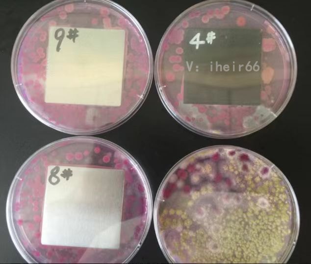 ASTM G21霉菌测试 合成高分子材料防霉试验