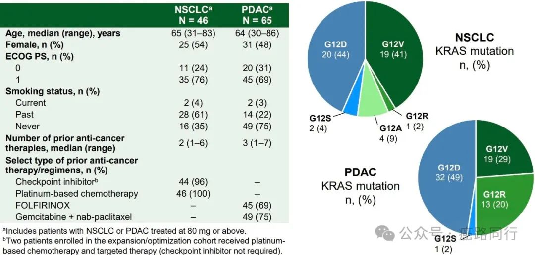 泛RAS抑制剂RMC-6236可持续、高强度抑制多种RAS突变肿瘤