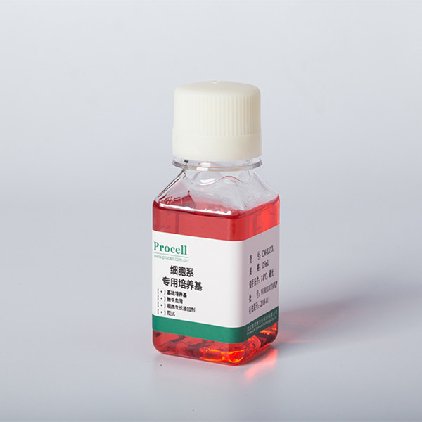 293F悬浮细胞培养