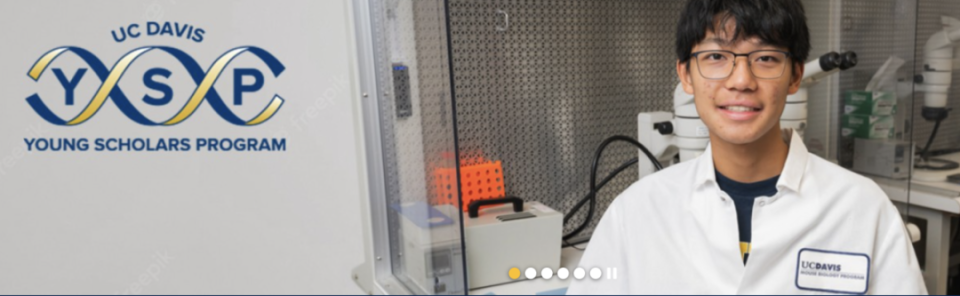 7个UC夏校！UCLA、UCD、UCSB都有学分！9-12年级都能申