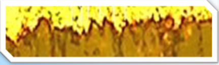 CAF的原理与解决方案