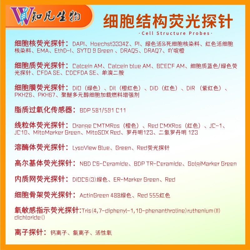 DRAQ5 & DRAQ7细胞核染料