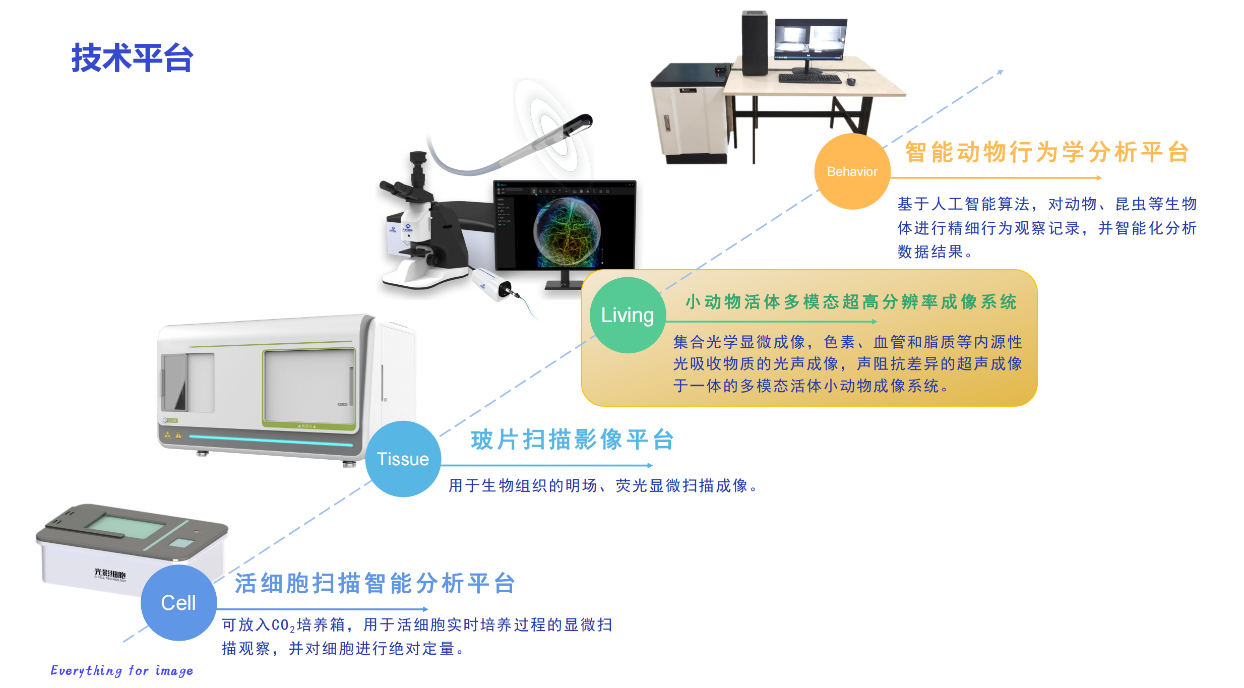 mri多模态包含哪些成像