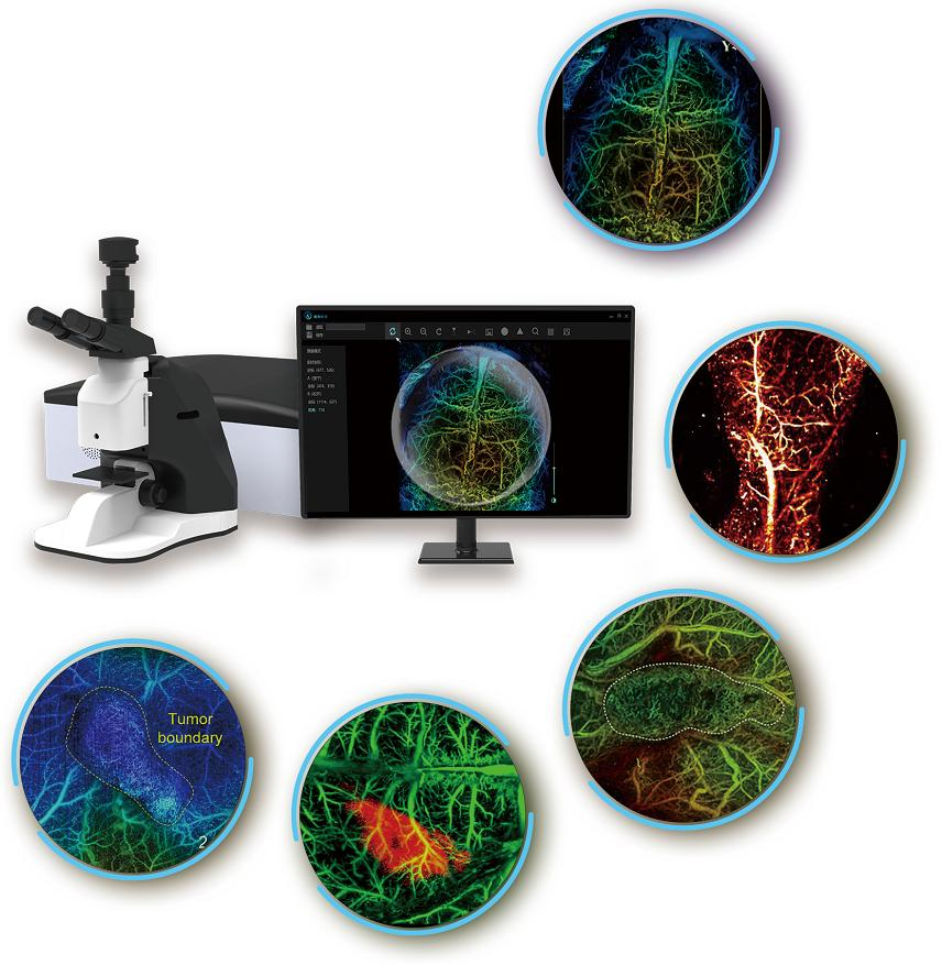 mri多模态包含哪些成像