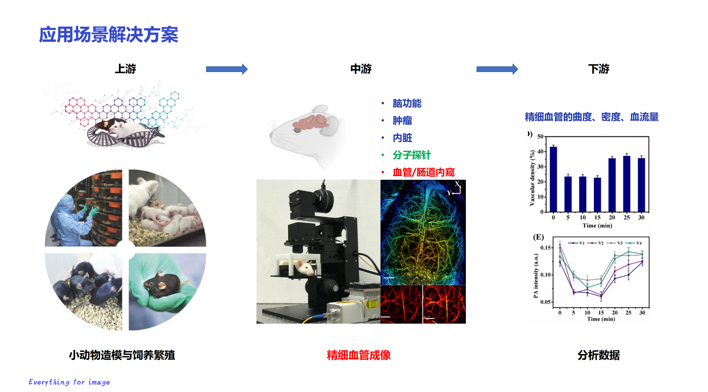 mri多模态包含哪些成像