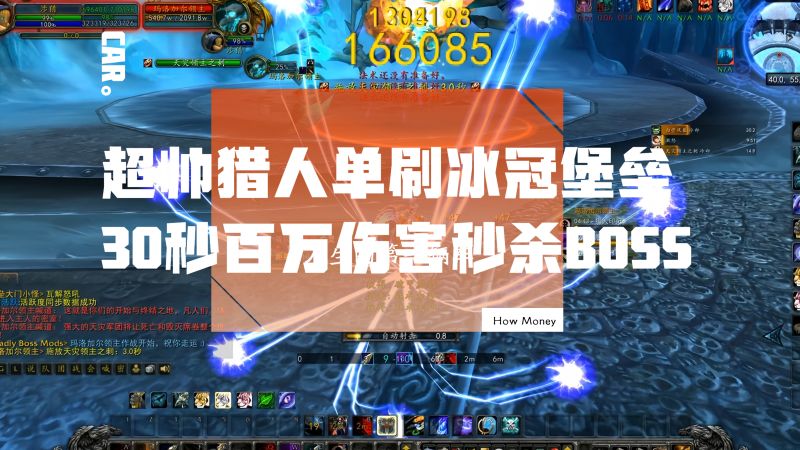 魔兽世界WLK：最帅猎人单挑冰冠堡垒，30秒百万伤害秒杀BOSS！,游戏,rpg游戏,好看视频