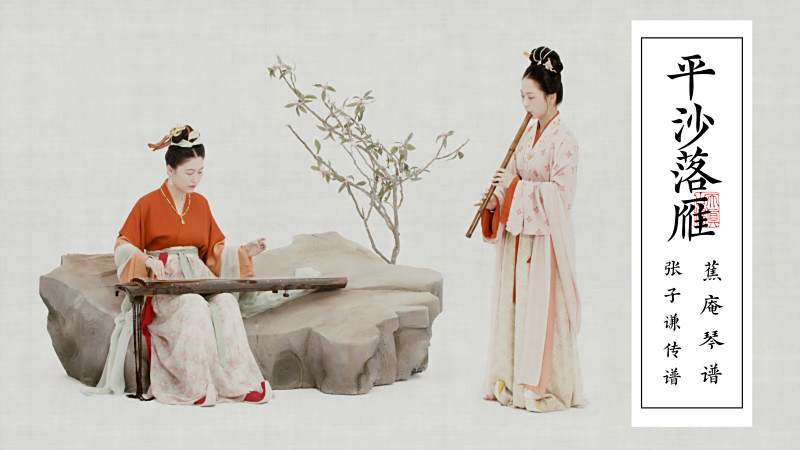 琴箫合奏|《平沙落雁》鸿雁南飞,一去万里;胸有远志,丝竹和鸣音乐器乐演奏好看视频