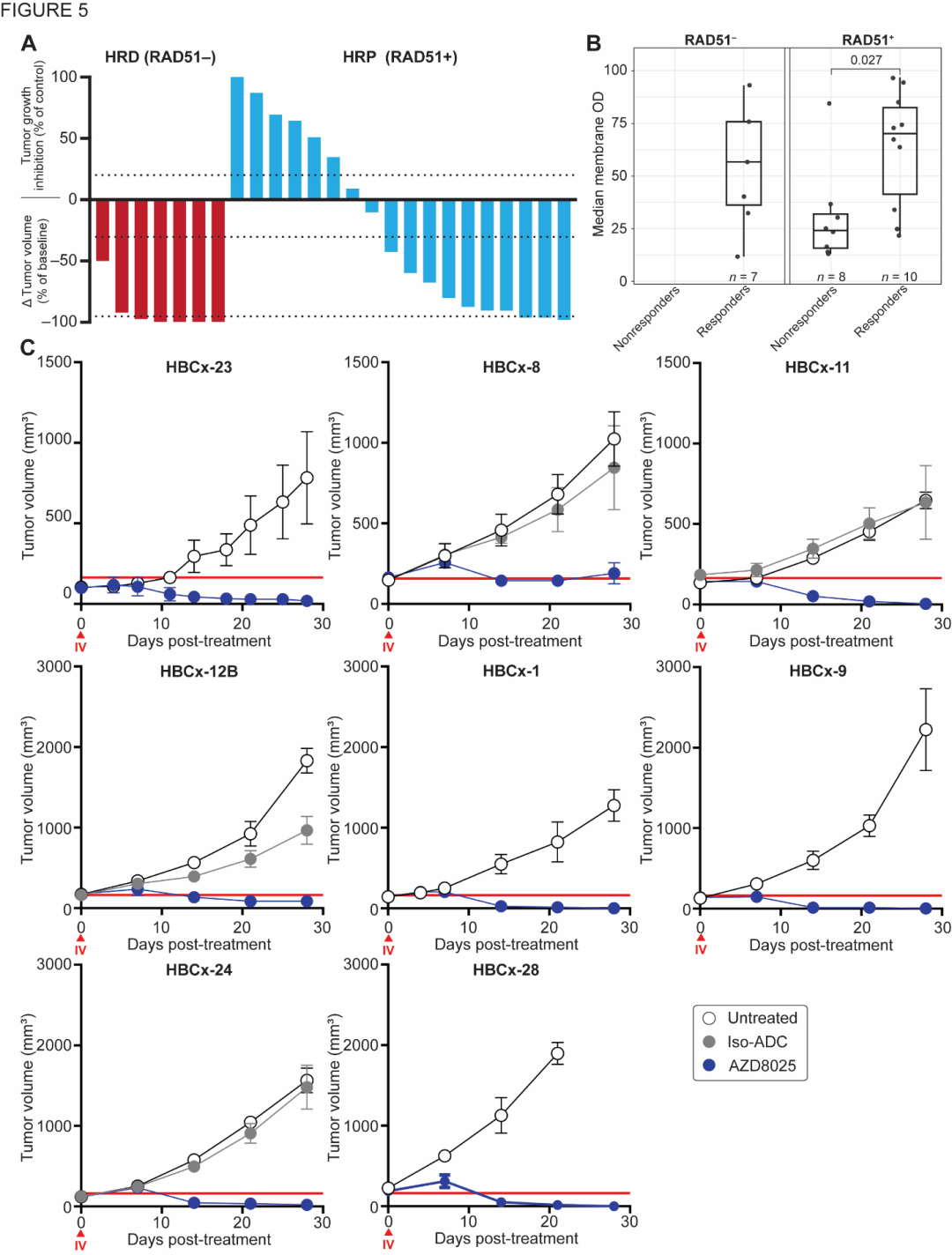 ADC赛道全速狂飙的AZ丨汇总DS-8201临床研究及下一代布局