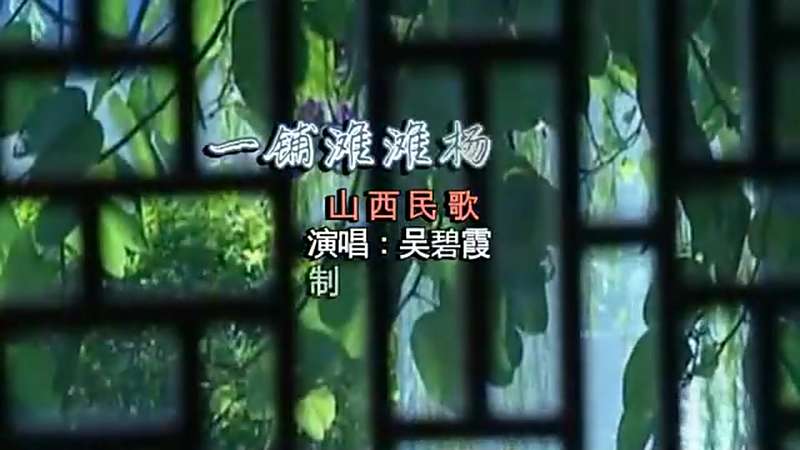 一铺滩滩杨柳树（吴碧霞 Ktv）音乐民俗音乐好看视频
