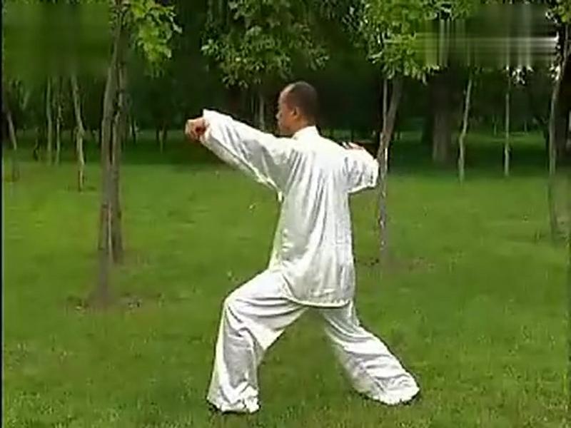 陈式心意混元太极拳24式背面教学(字幕口令)体育武术好看视频