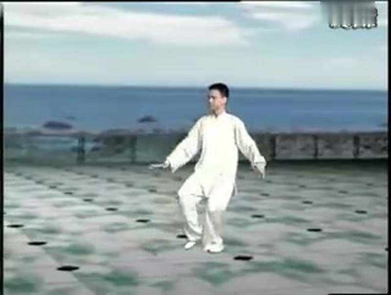 陈思坦四十八式太极拳背向演练标清体育武术好看视频