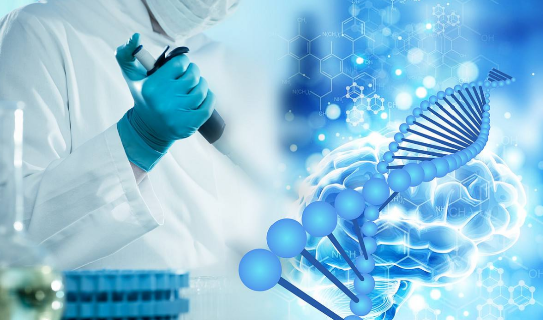 解读UM171干细胞激动剂，可将单份干细胞扩增10-80倍