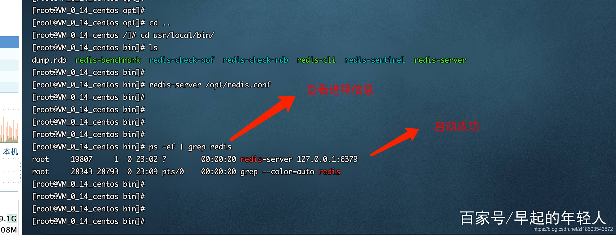 Centos7安装 Redis 实践 