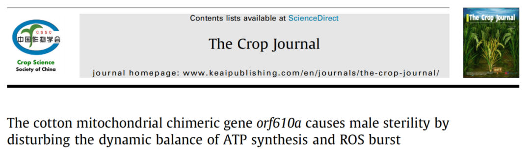 细胞器基因组｜比较基因组分析助力深度挖掘细胞器进化关系