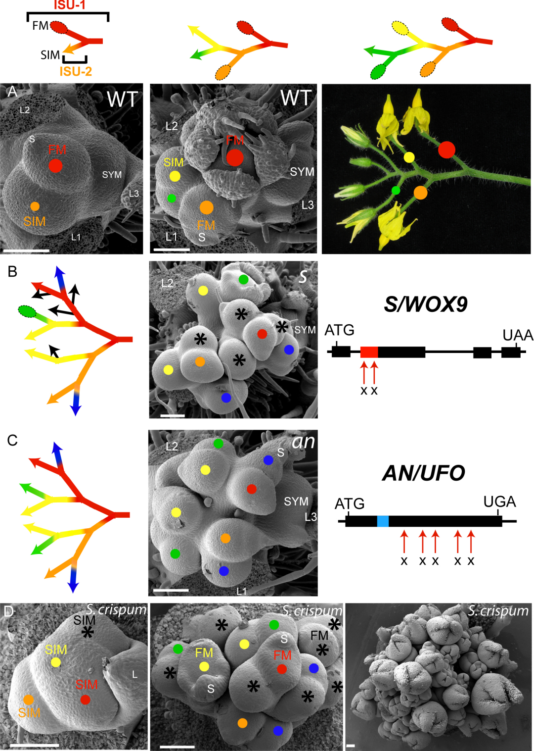 17年前发表过的基因如今照样发Cell！