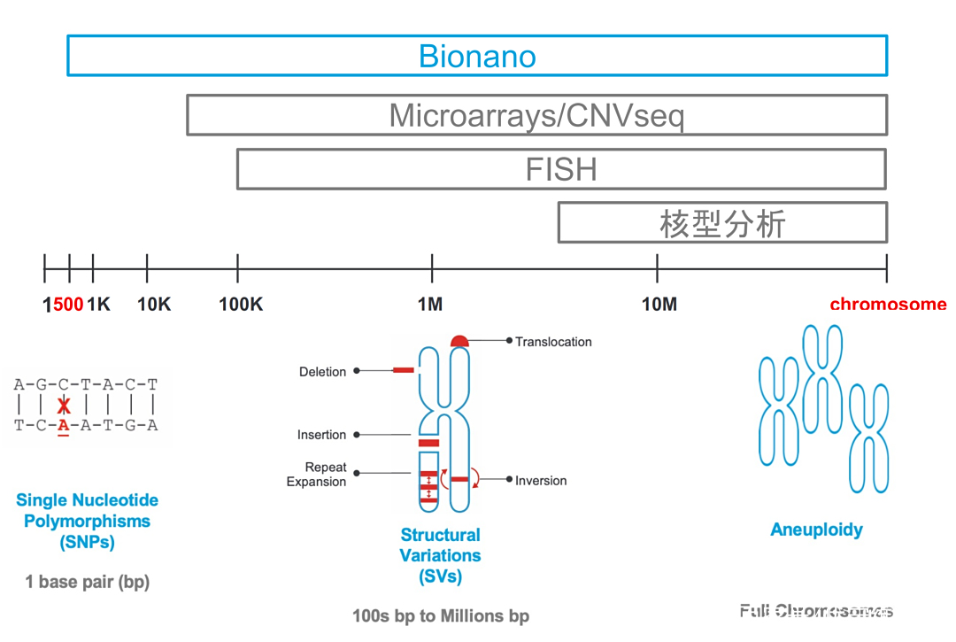 细胞遗传新未来｜OGM技术结合NGS，探索更多变异真相