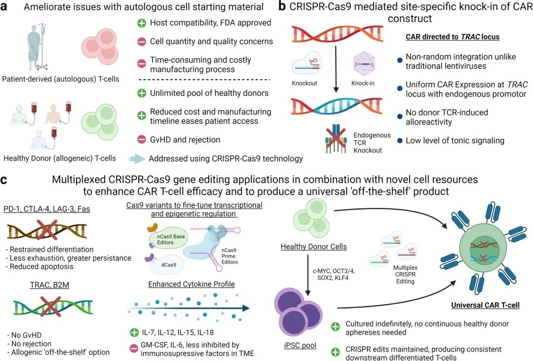 CRISPR/Cas9基因编辑技术的应用