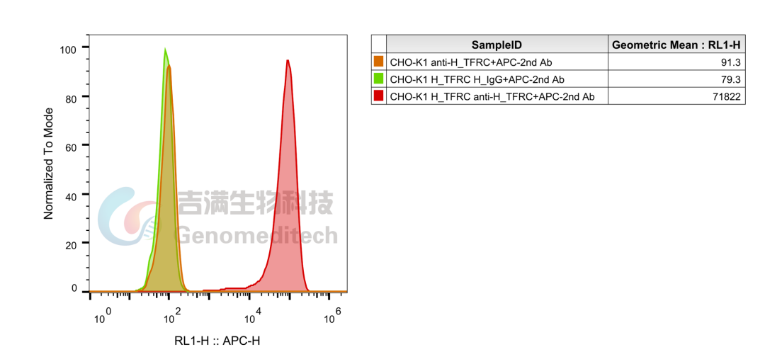 靶点一览丨TfR1(CD71)靶向肿瘤治疗