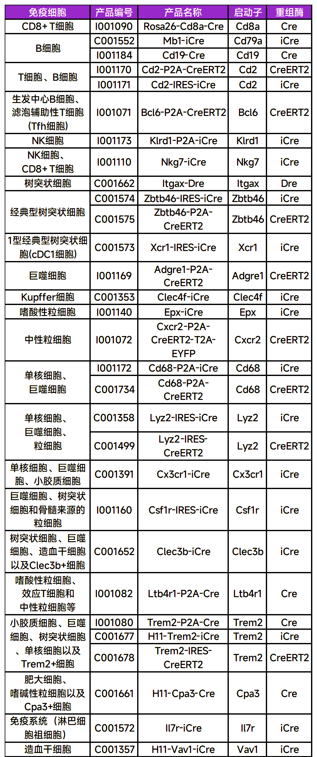 Cre-loxP系统在免疫细胞功能研究中的应用详解