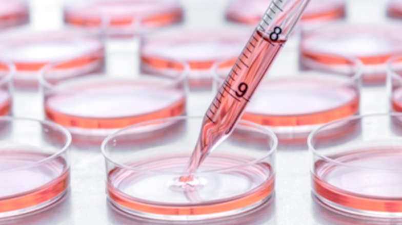 细胞培养基指南：DMEM与RPMI-1640的独特用途