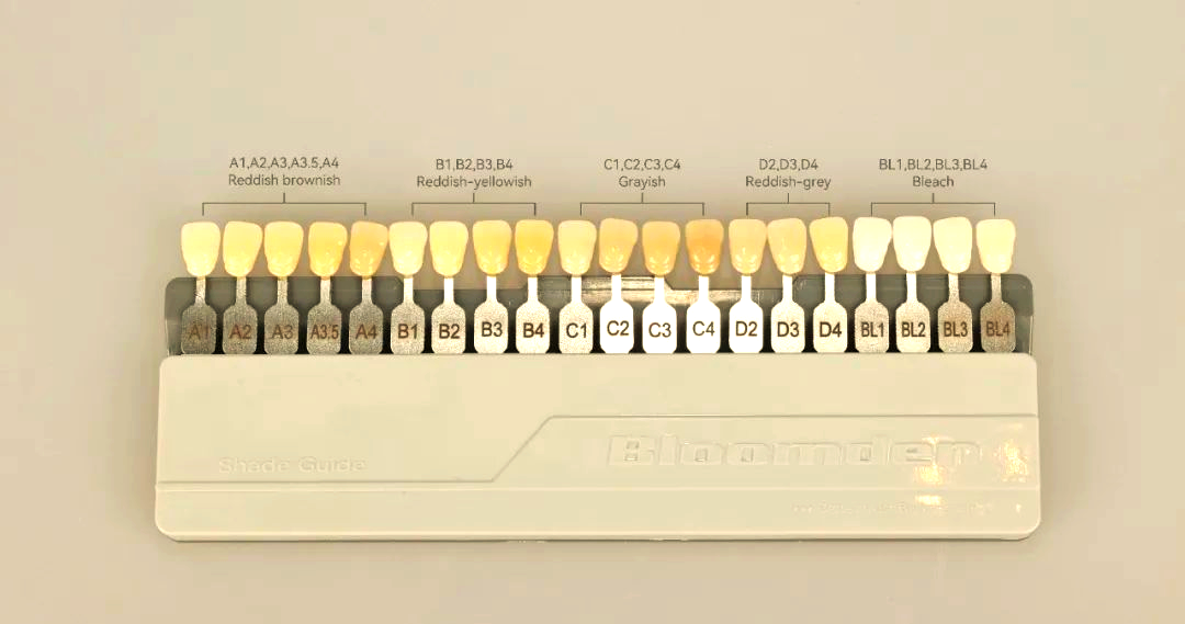 新品Bloomden A1-BL4比色板，精准比色助力美学修复