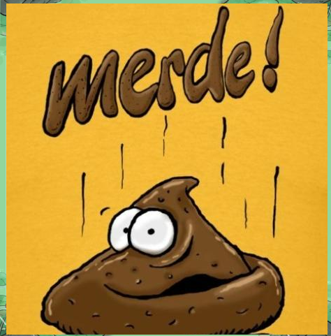 塞纳河治理遭巴黎民众抵制，集体拉屎成热潮