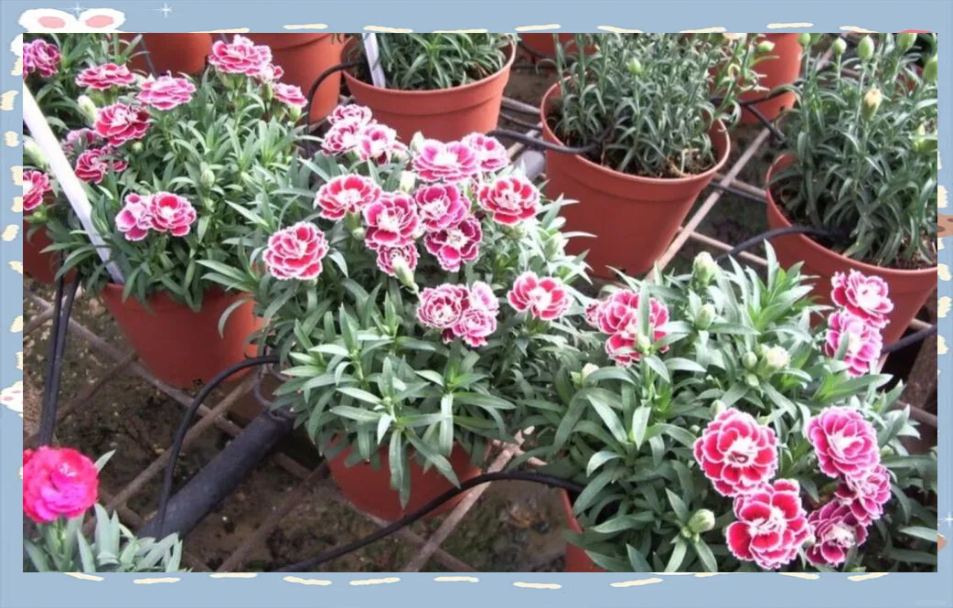 以色列的可持续水资源管理：从缺水到领先全球的转变