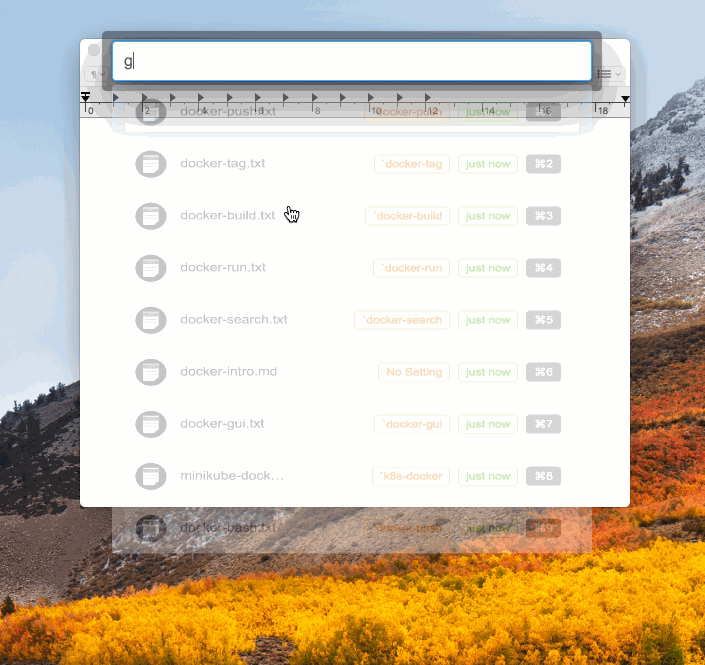 CodeExpander：提升开发效率的文本代码片段管理工具