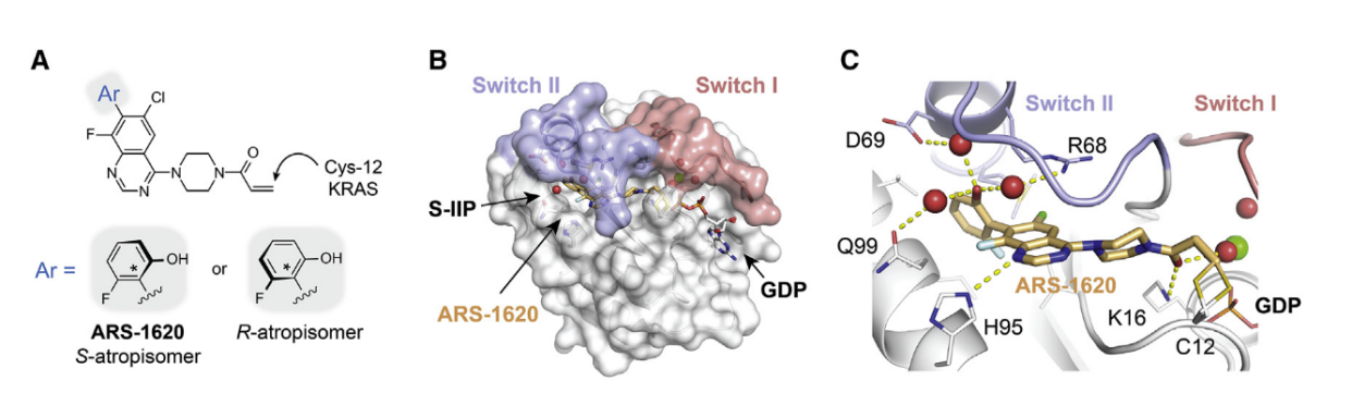 KRAS系列（三）：Amgen新药sotorasib（AMG510）上市