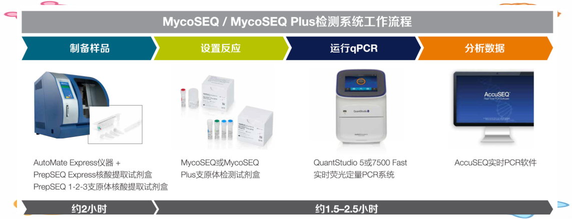 深入解析DC疫苗疗法的生产流程与质量控制方法