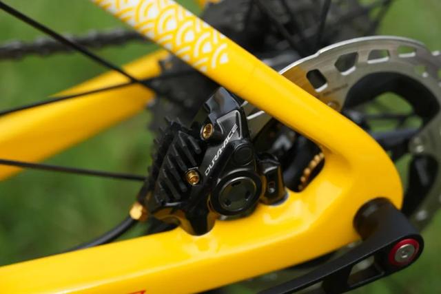 奥运战车赏析：吕先景与唐欣的瑞豹全新ROBIN EVO轻量化公路车