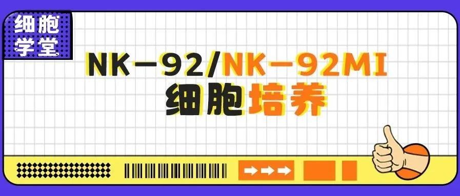 细胞学堂｜培养NK-92/NK-92MI细胞时要注意什么？