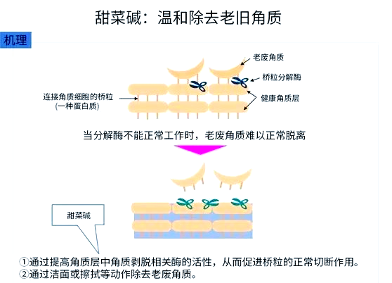 探索护肤成分系列：深入了解4MSK（4-甲氧基水杨酸钾）的护肤功效