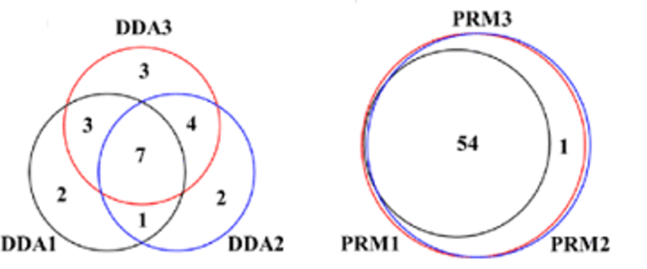 蛋白组分析中DDA和PRM