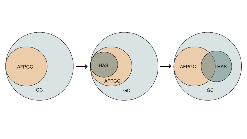 二、 HAS 诊断方法有待改进